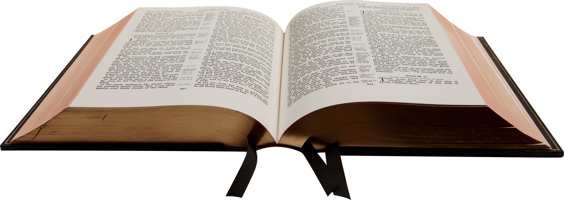 Bible 101 St Paul s United Methodist Church Tucson Arizona Bible 101 St Paul s United Methodist Church Tucson Arizona